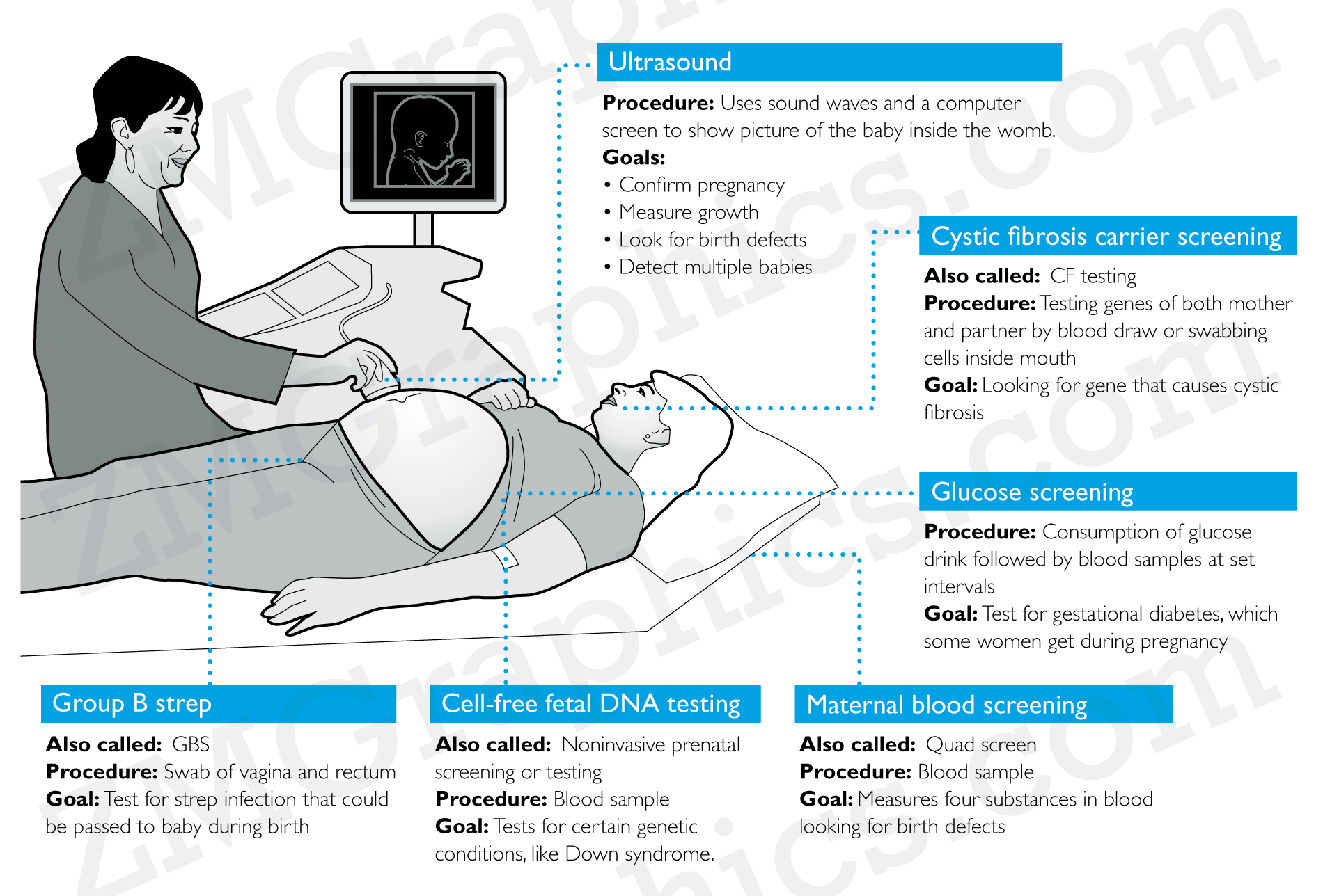 Medical portfolio by Carol Zuber-Mallison•ZM Graphics