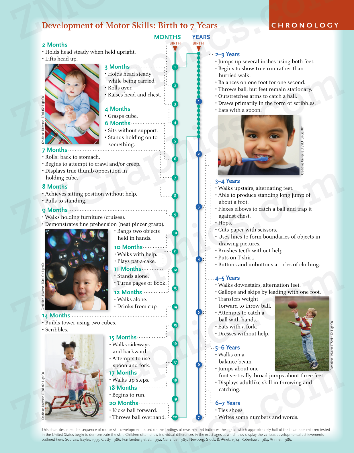 Timelines by Carol Zuber-Mallison•ZM Graphics